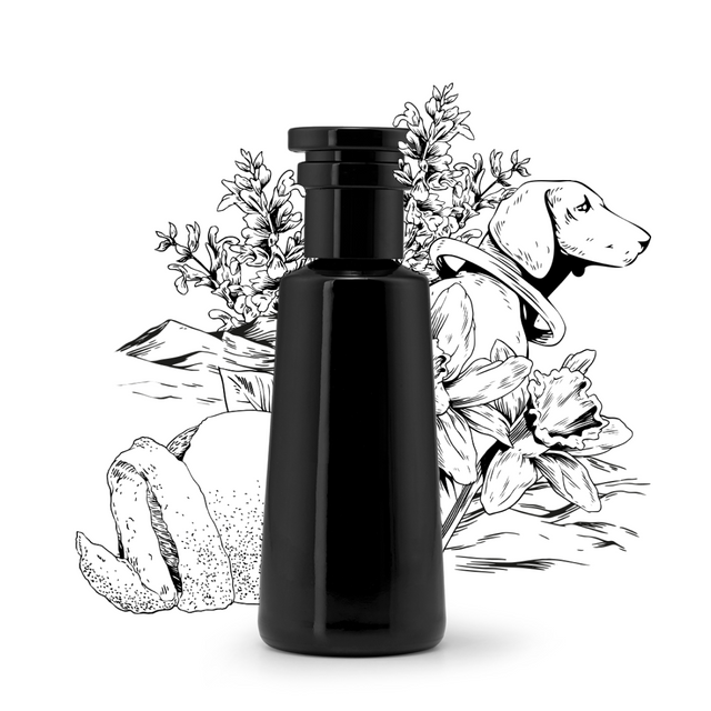 Citrus moss fragrance | EVERYMAN by ARgENTUM